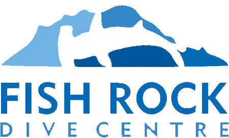 Dive Fish Rock Cave – fishrockdive